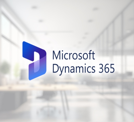 Microsoft Dynamics 365 Consulting | Beringer Technology Group