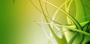 Using JavaScript to create a custom button in Power Pages | Power Platform | Beringer Technology ...